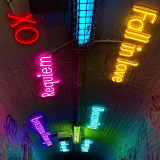 Custom Neon® Outdoor Signs for Festivals, Shows & Community Events