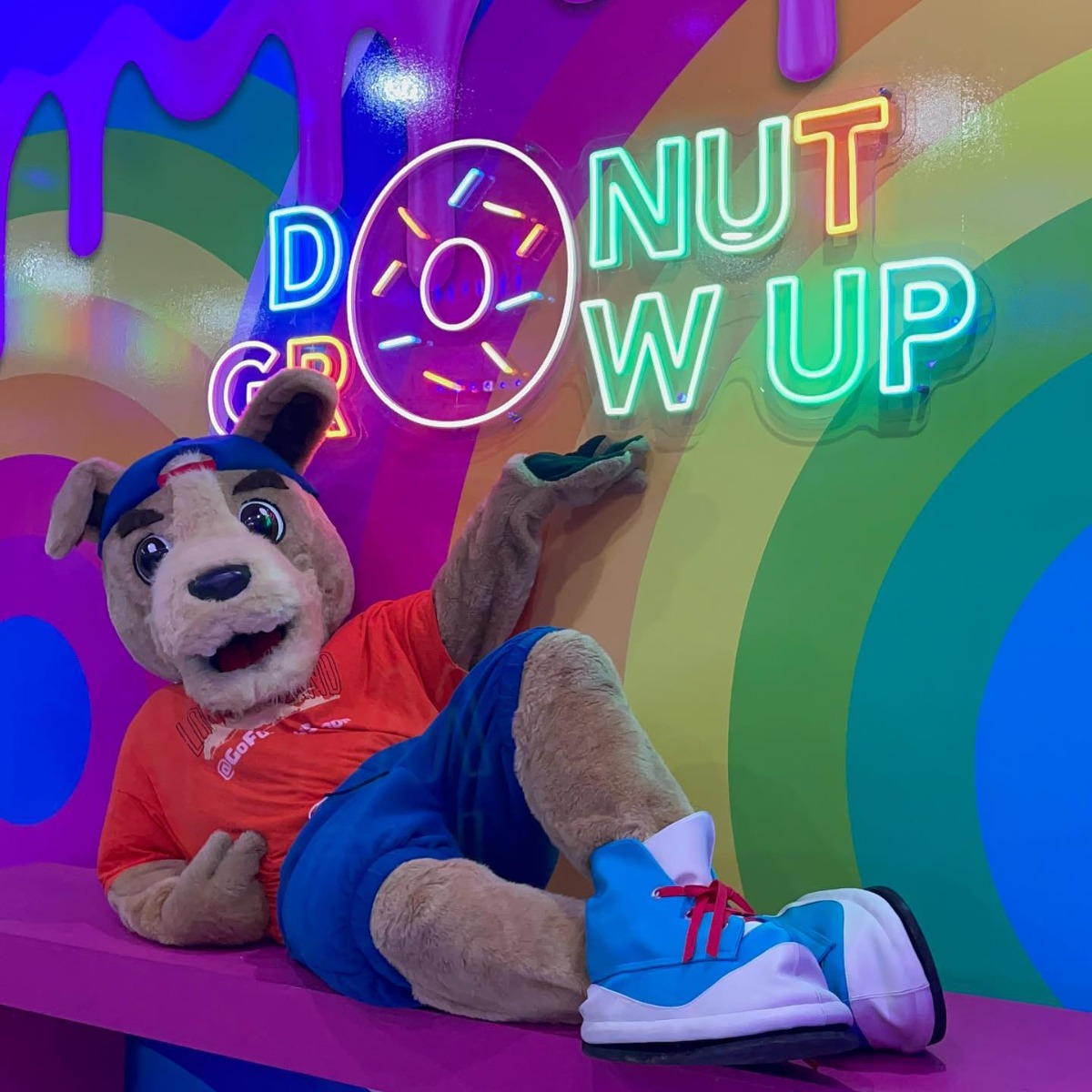 Sundae Donuts x Custom Neon® Showcase | Neon Aesthetic Retail Fit-Outs